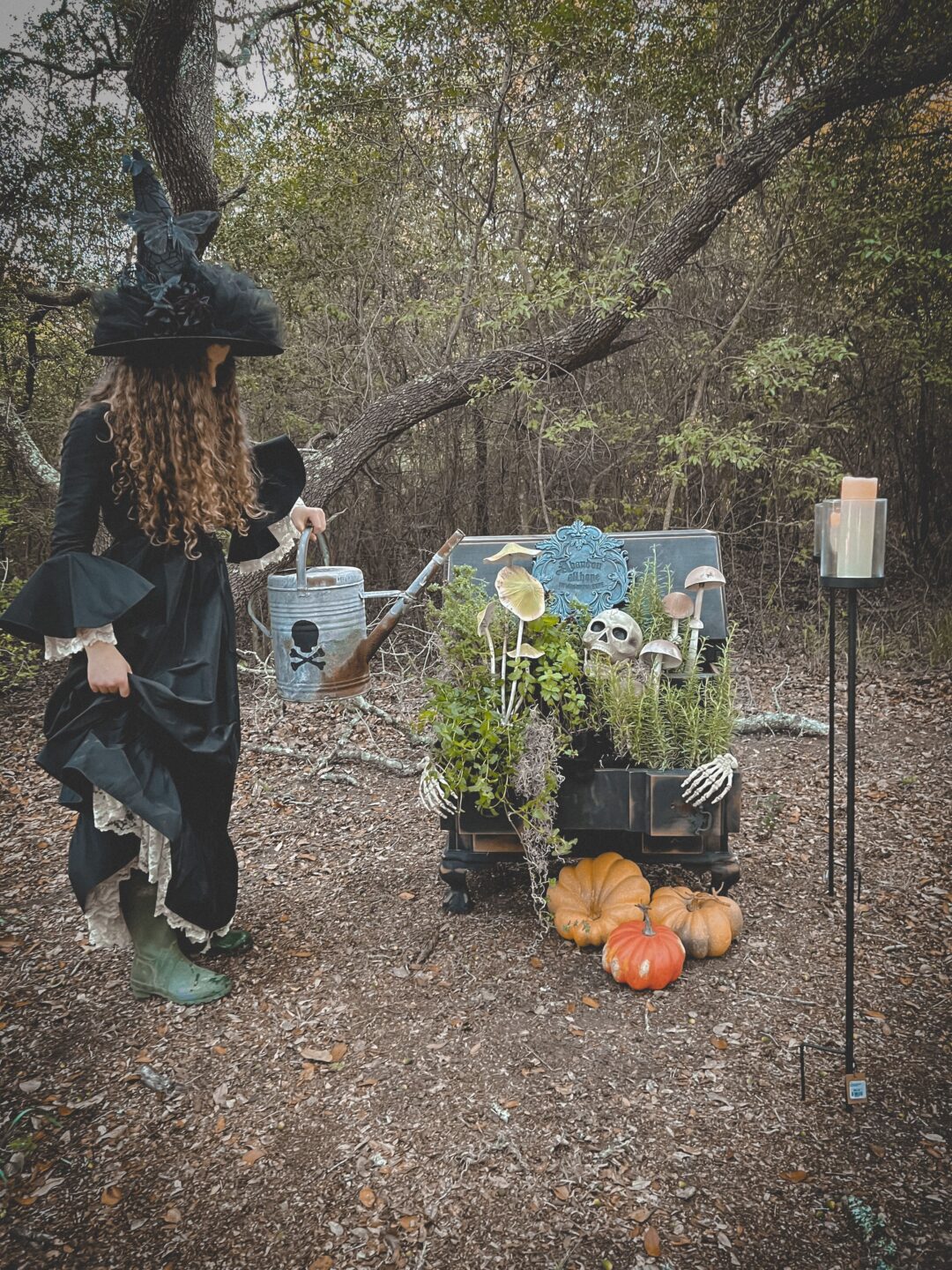 DIY Poison Herb Garden, Plant If You Dare!! – Junk Gypsy Blog