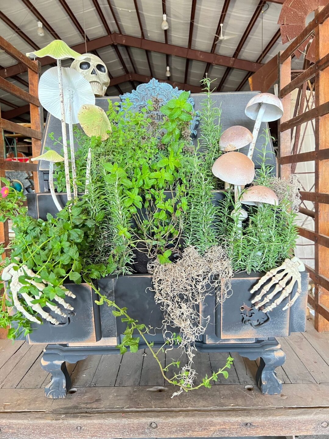 DIY Poison Herb Garden, Plant If You Dare!! – Junk Gypsy Blog