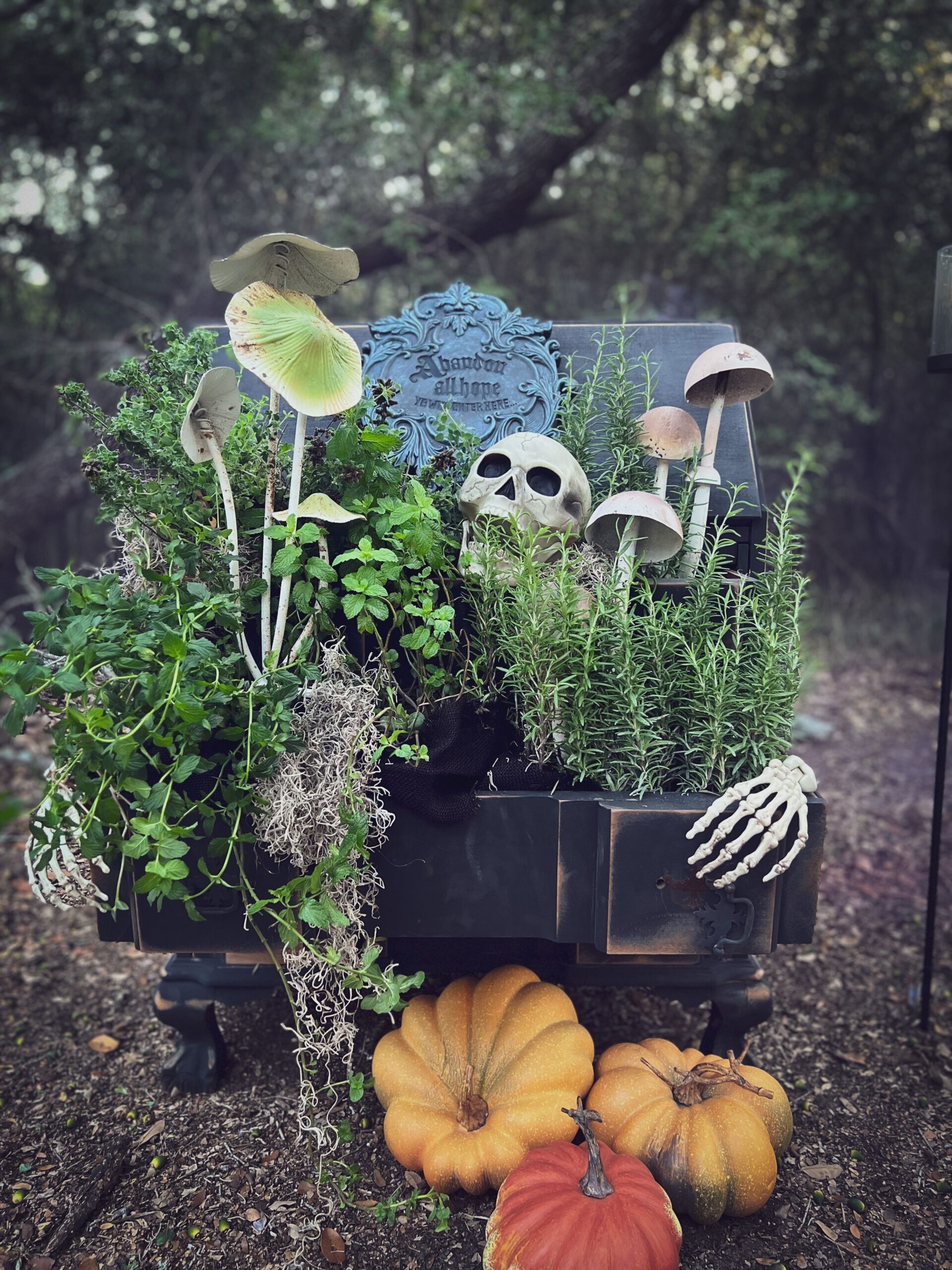 DIY Poison Herb Garden, Plant If You Dare!! – Junk Gypsy Blog