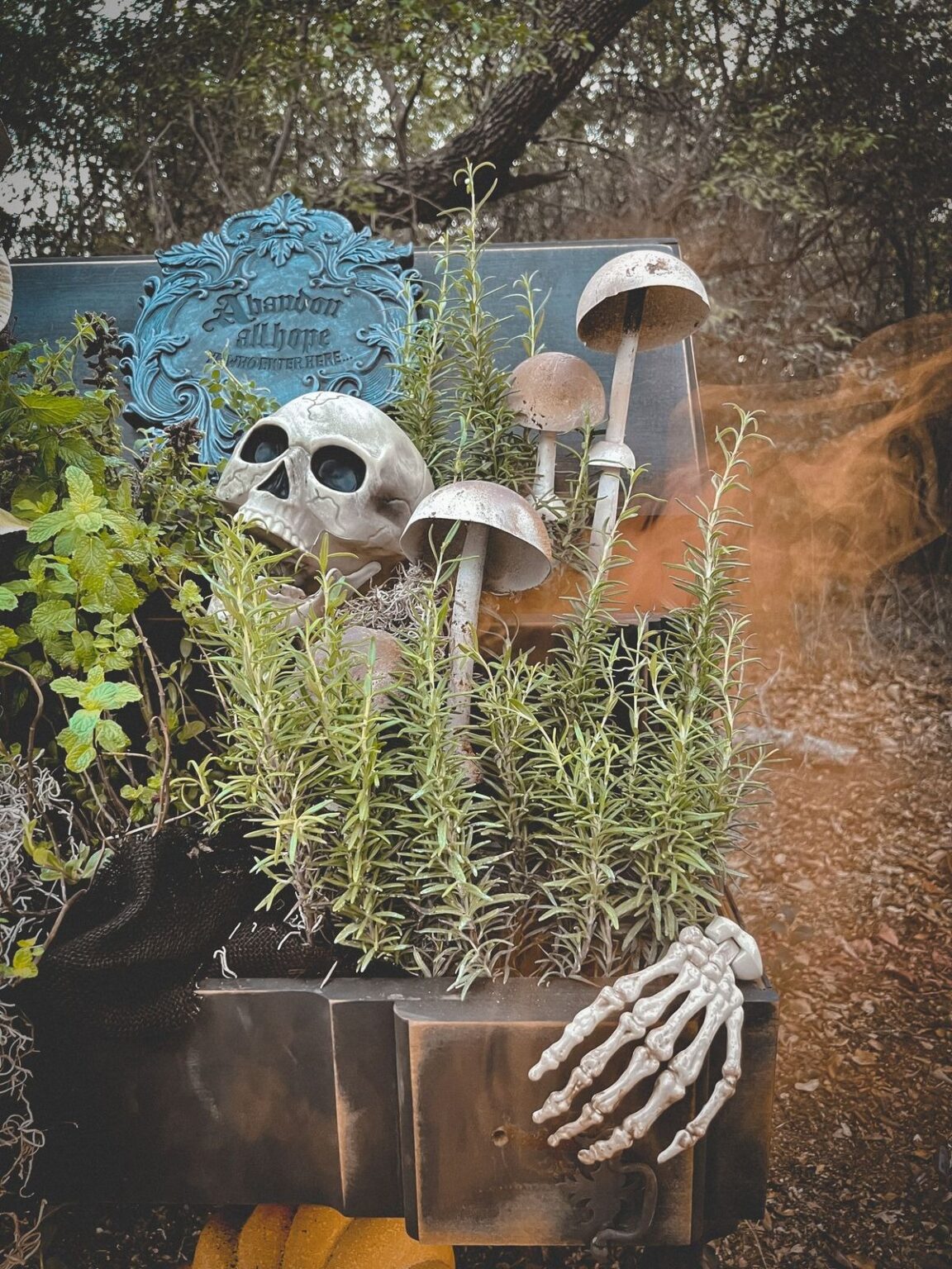 DIY Poison Herb Garden, Plant If You Dare!! – Junk Gypsy Blog